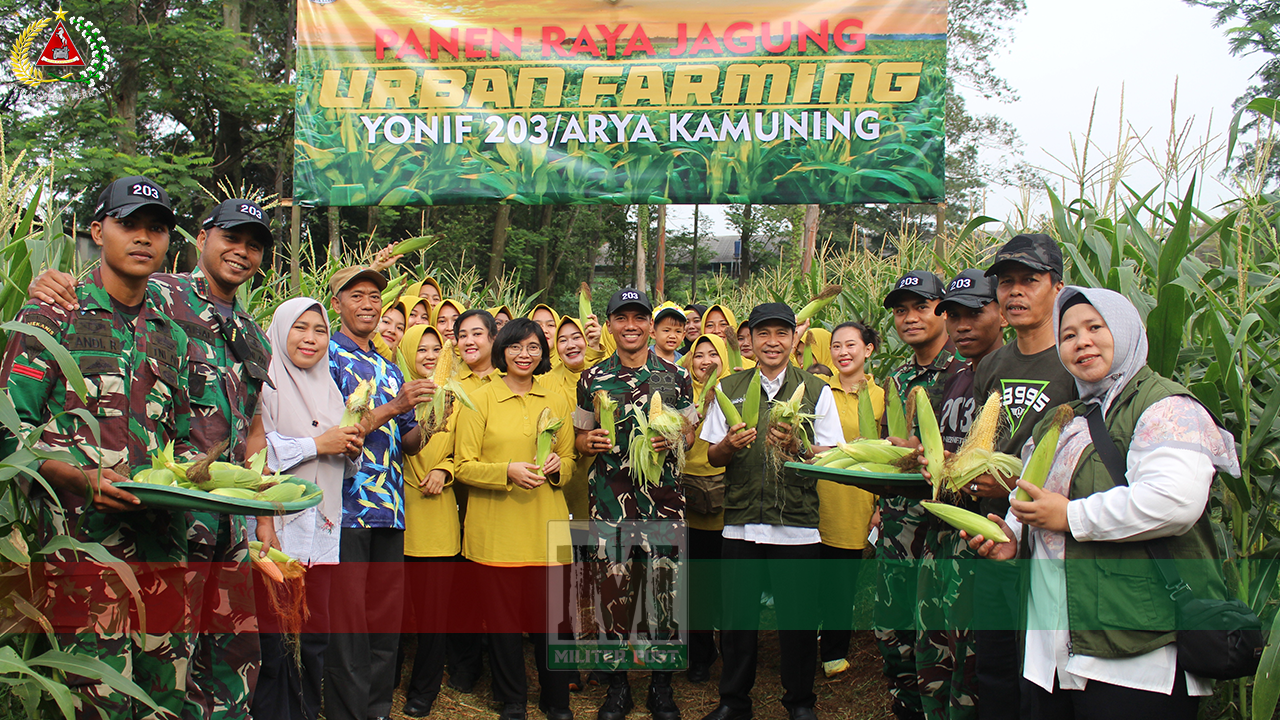 Panen Jagung Yonif 203/Arya Kamuning, Program Urban Farming mendukung ...